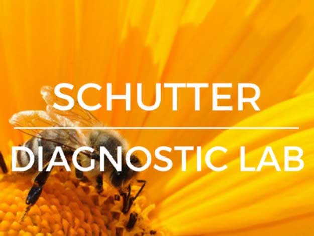 Report an Invasive Species | Montana Invasive Species